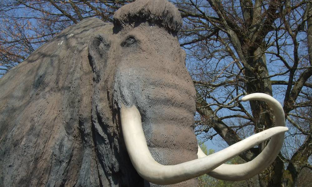 Suomalaiset lastenlaulut: 10 kyseenalaista sanoitusta